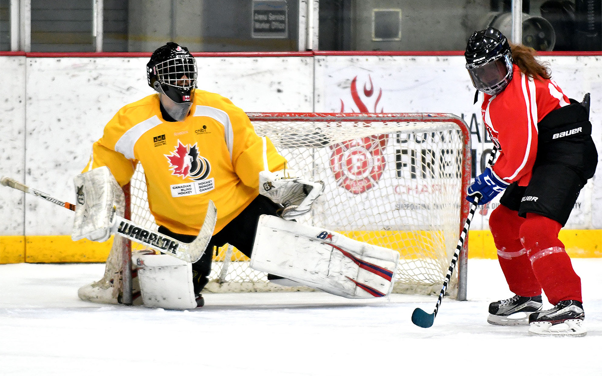 Uniformes De Hockey Sonores – Association Canadienne de Hockey Sonore